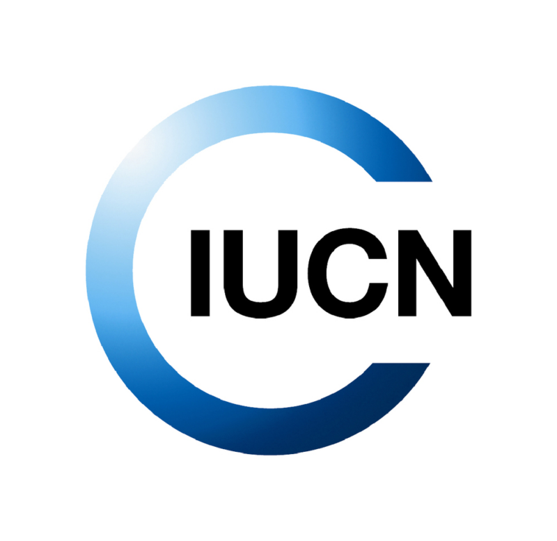 First reproduction of the Common Tern on a floating raft in North ...