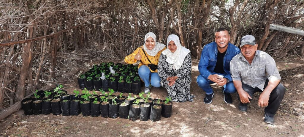 A third phase for the programme TransCap - MUBADARAT