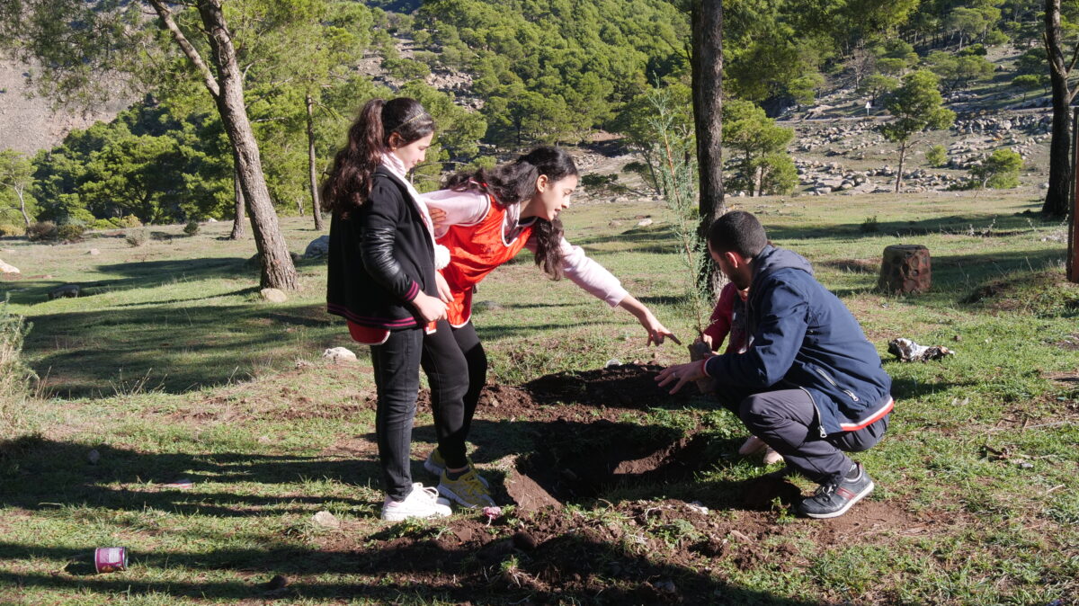 A third phase for the programme TransCap - MUBADARAT