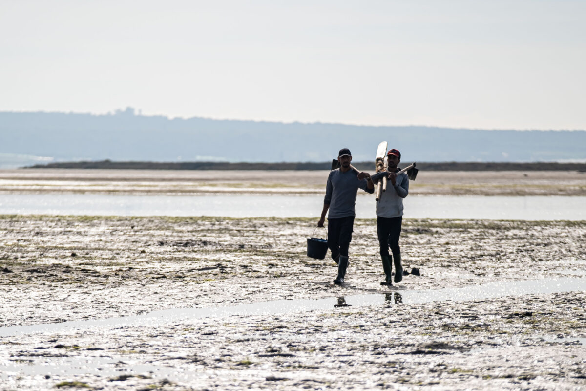 A third phase for the programme TransCap - MUBADARAT