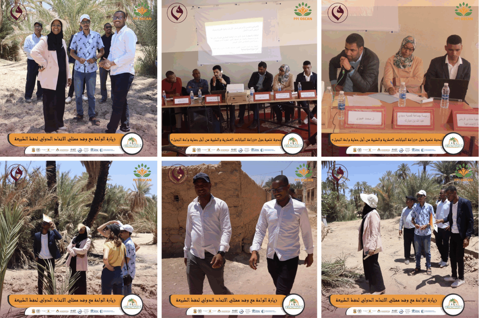 PPI OSCAN 3 - KARYATI : Preservation of the Akka Tata palm groves: a ...